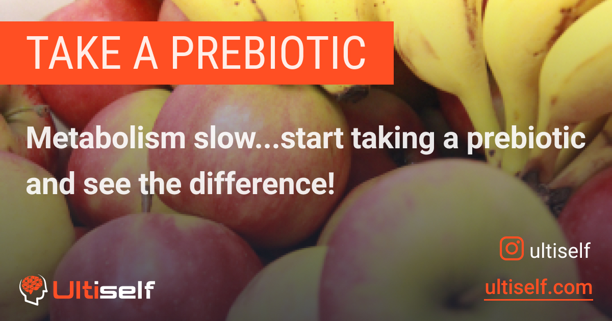 How Prebiotics Can Improve Your Health | Ultiself Habits
